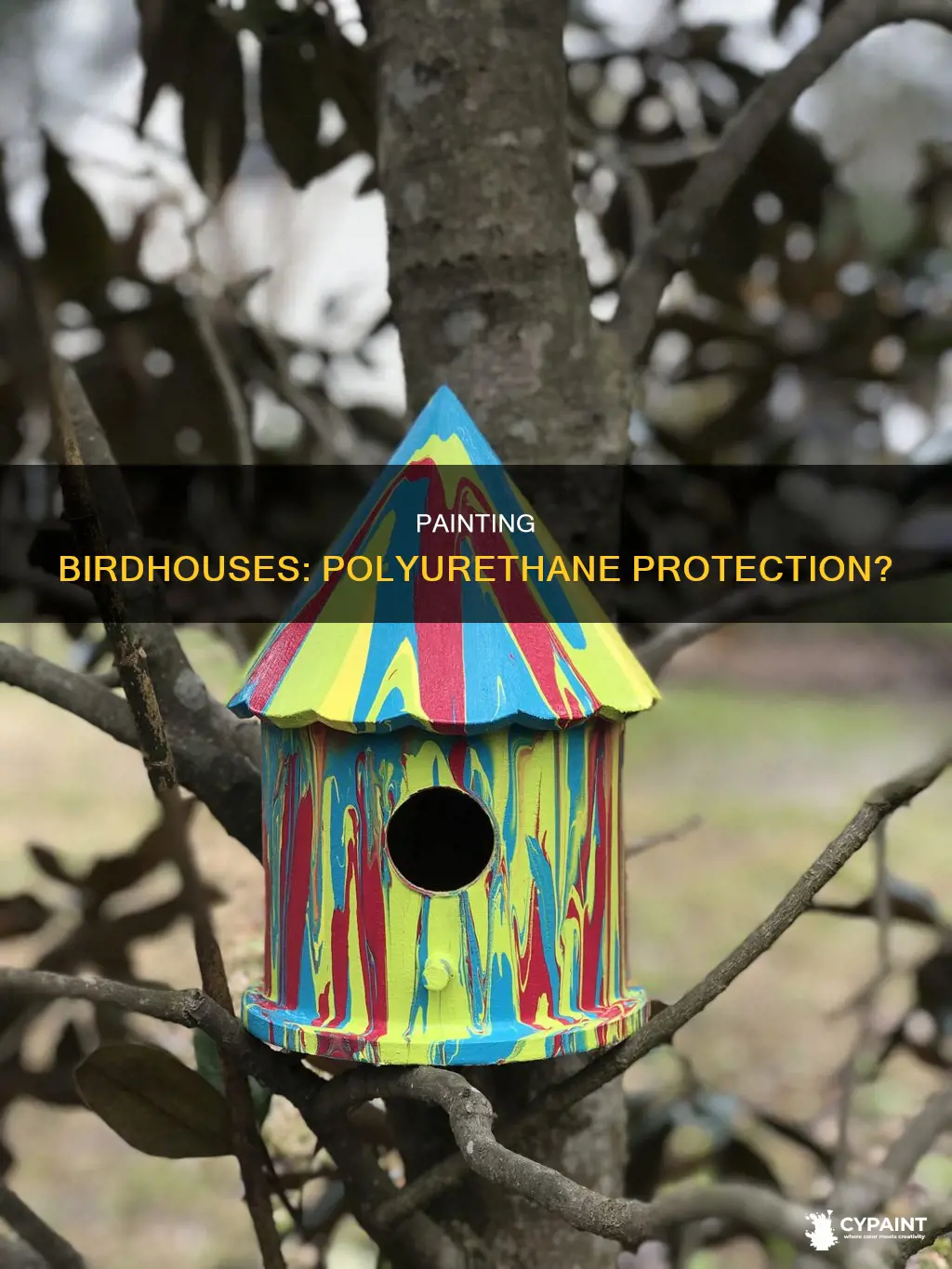 Painting Birdhouses: Polyurethane Protection? | CyPaint