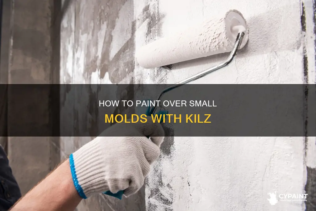 How To Paint Over Small Molds With Kilz | CyPaint