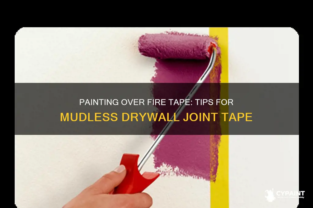 Painting Over Fire Tape: Tips For Mudless Drywall Joint Tape | CyPaint
