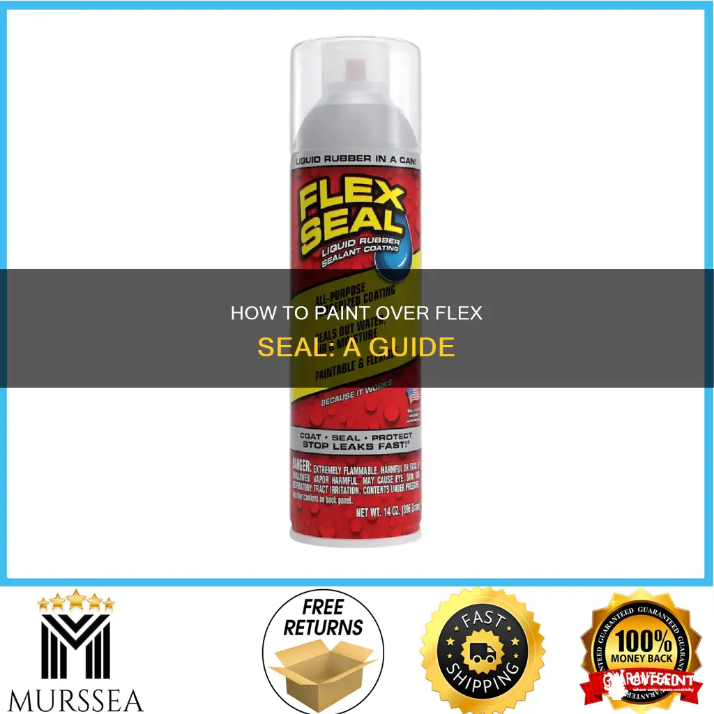 How To Paint Over Flex Seal: A Guide | CyPaint