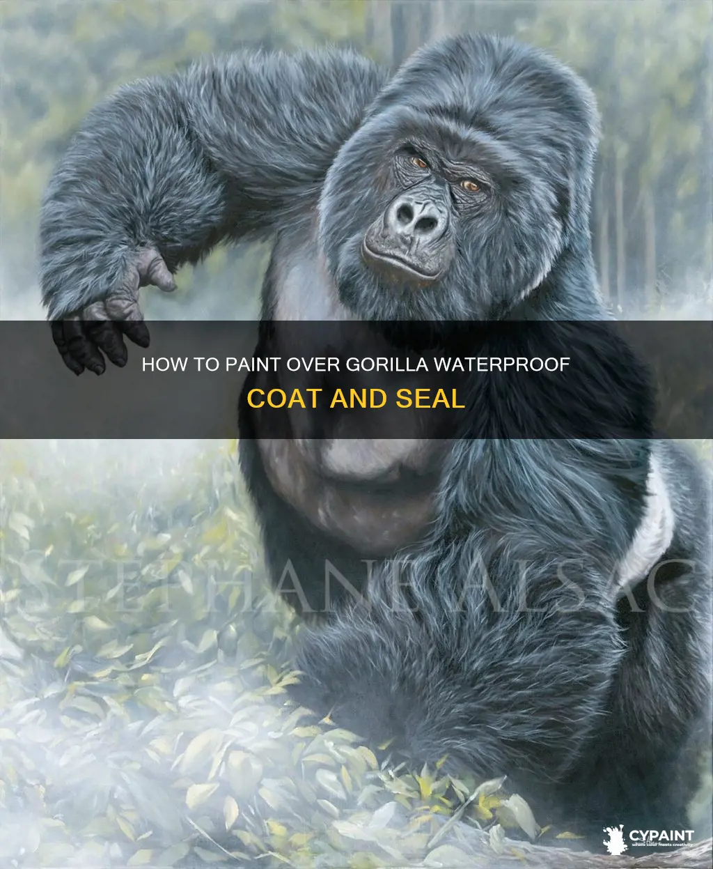 How To Paint Over Gorilla Waterproof Coat And Seal | CyPaint