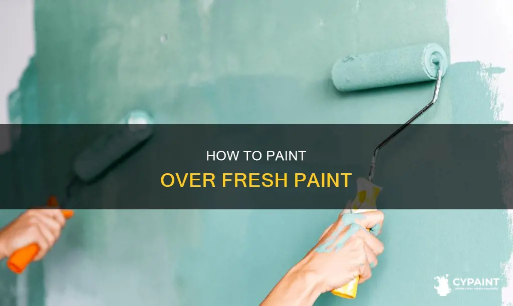 How To Paint Over Fresh Paint | CyPaint
