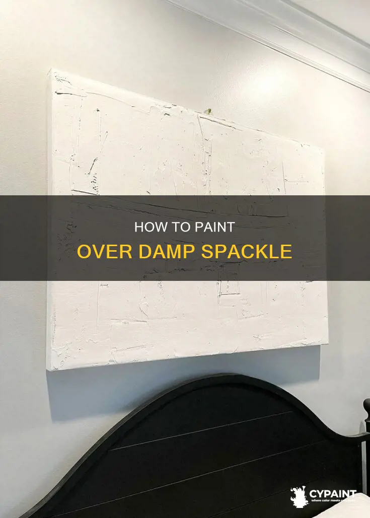 How To Paint Over Damp Spackle | CyPaint