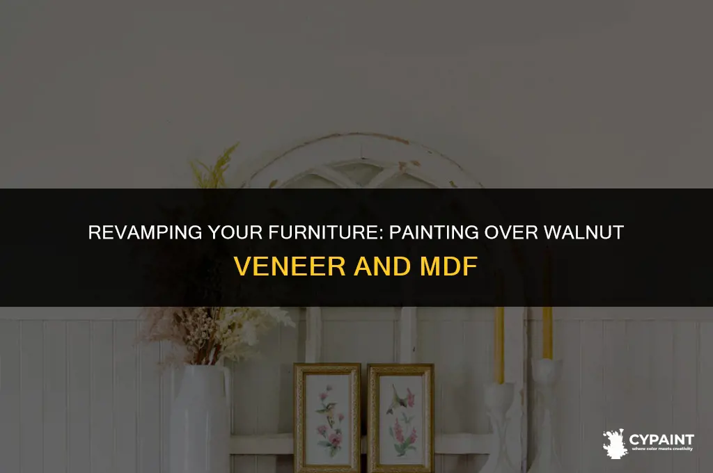 Revamping Your Furniture: Painting Over Walnut Veneer And Mdf | CyPaint