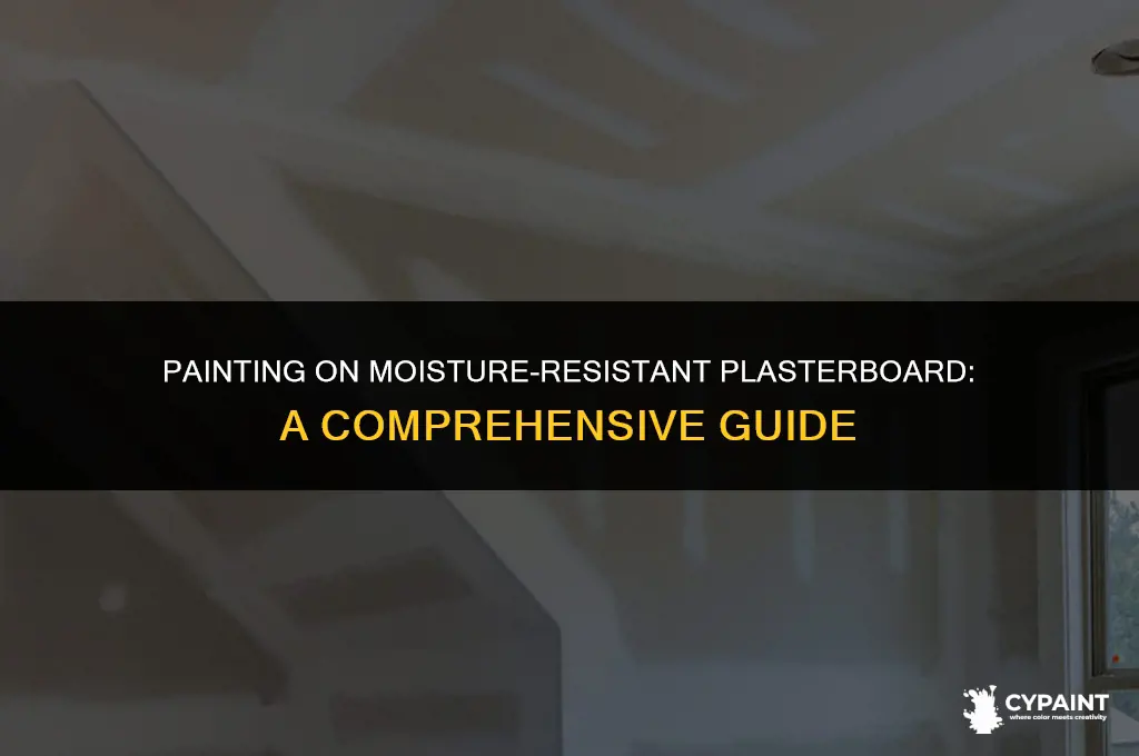 Painting On Moisture-Resistant Plasterboard: A Comprehensive Guide ...