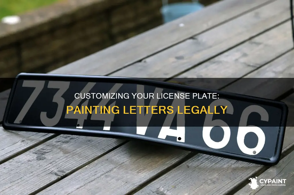 Customizing Your License Plate: Painting Letters Legally | CyPaint