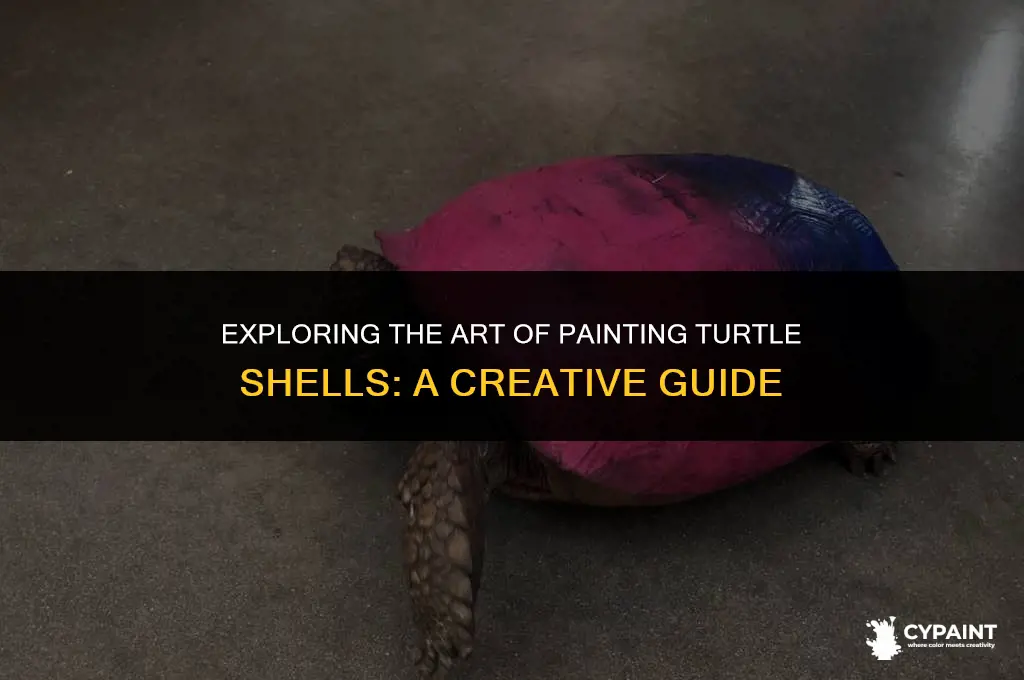 Exploring The Art Of Painting Turtle Shells: A Creative Guide | CyPaint