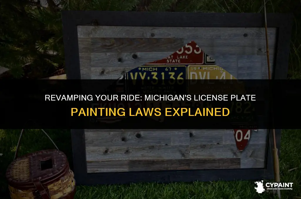 Revamping Your Ride: Michigan's License Plate Painting Laws Explained ...