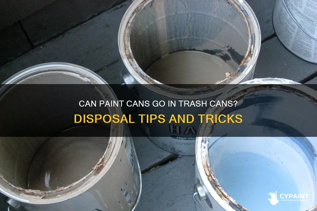 Can Paint Cans Go In Trash Cans? Disposal Tips And Tricks | CyPaint