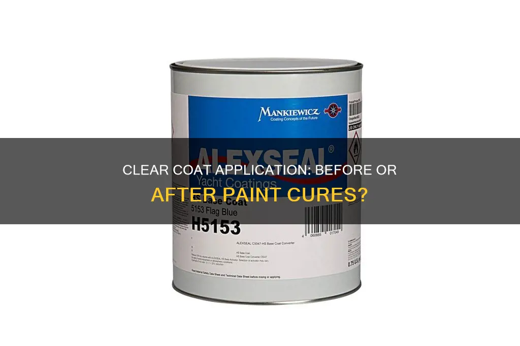 Clear Coat Application: Before Or After Paint Cures? | CyPaint