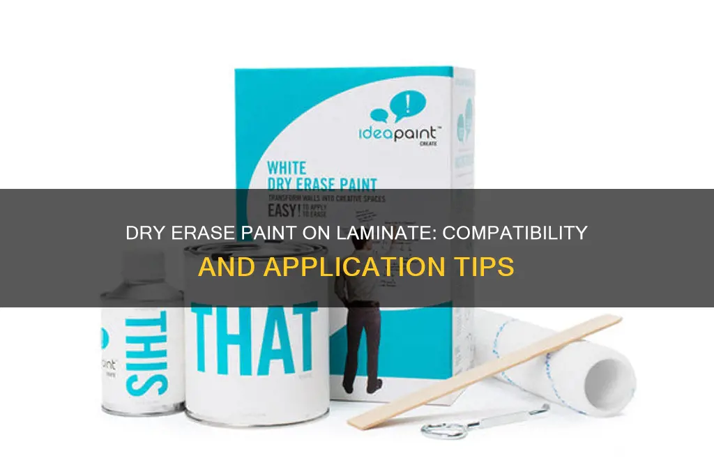 Dry Erase Paint On Laminate: Compatibility And Application Tips | CyPaint