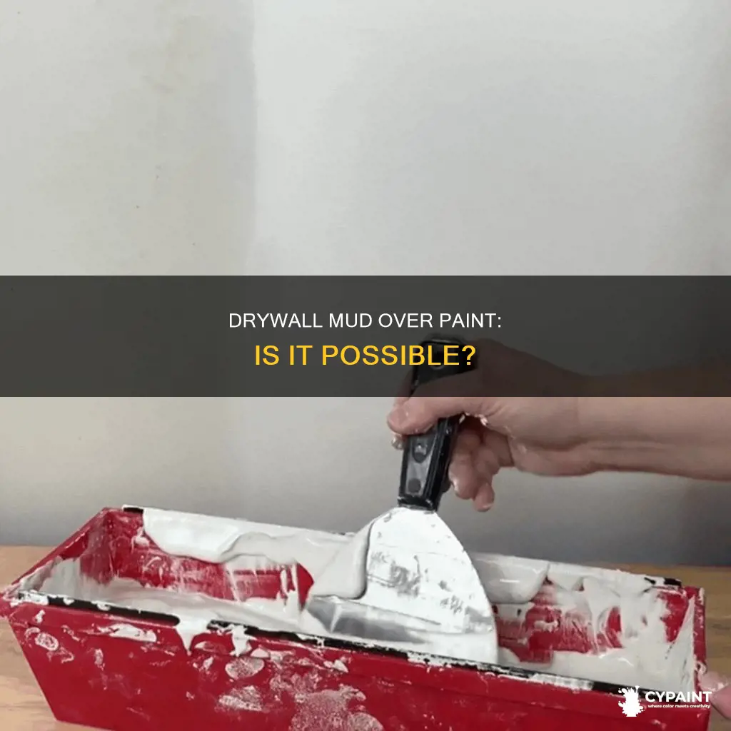 Drywall Mud Over Paint: Is It Possible? | CyPaint