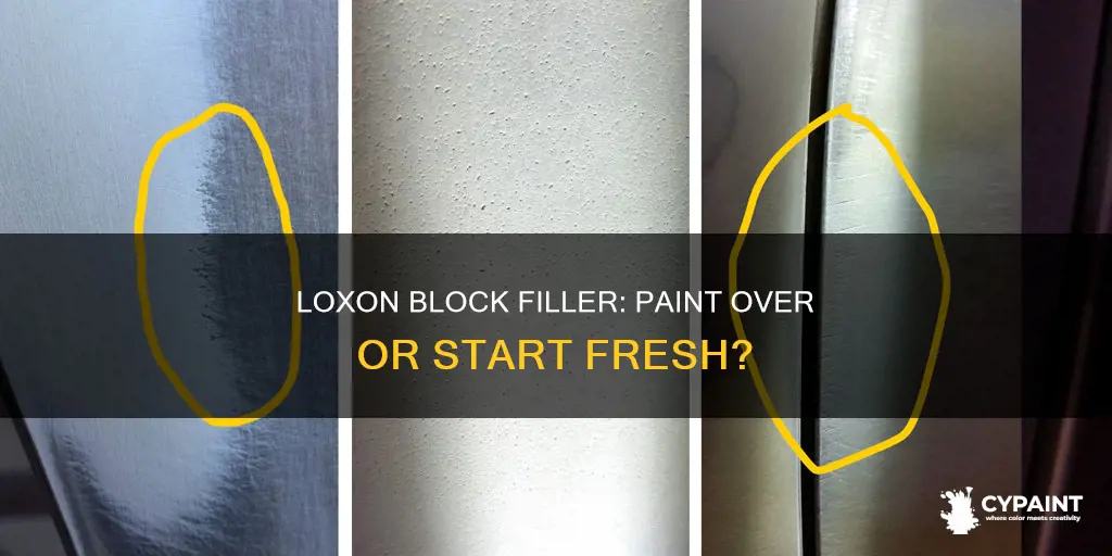 Loxon Block Filler: Paint Over Or Start Fresh? | CyPaint