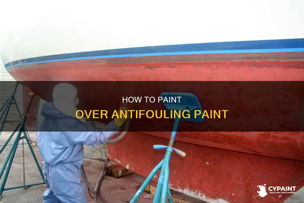 How To Paint Over Antifouling Paint | CyPaint