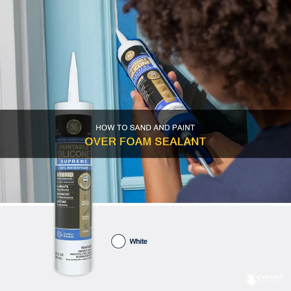 How To Sand And Paint Over Foam Sealant | CyPaint