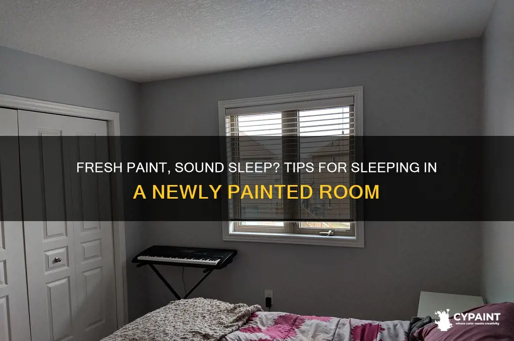 Fresh Paint, Sound Sleep? Tips For Sleeping In A Newly Painted Room ...