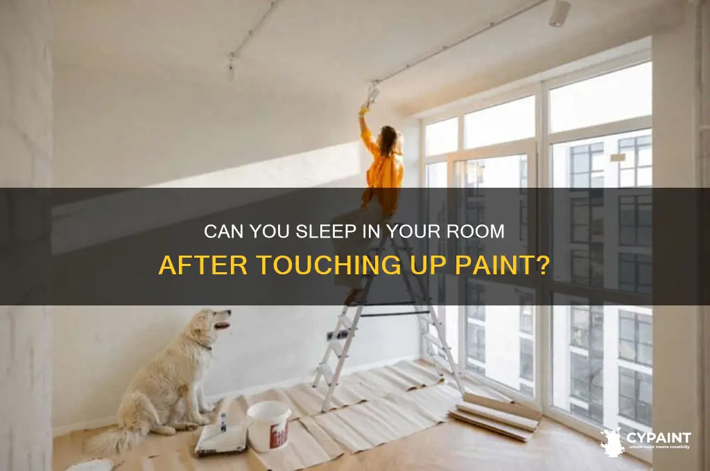 Can You Sleep In Your Room After Touching Up Paint? | CyPaint