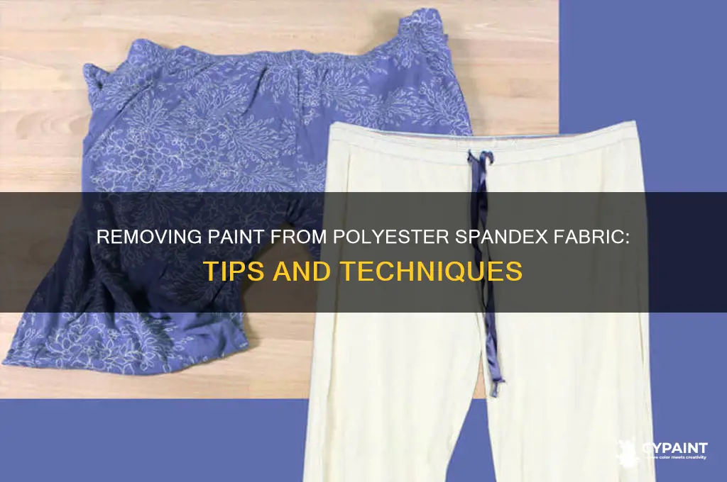 Removing Paint From Polyester Spandex Fabric: Tips And Techniques | CyPaint