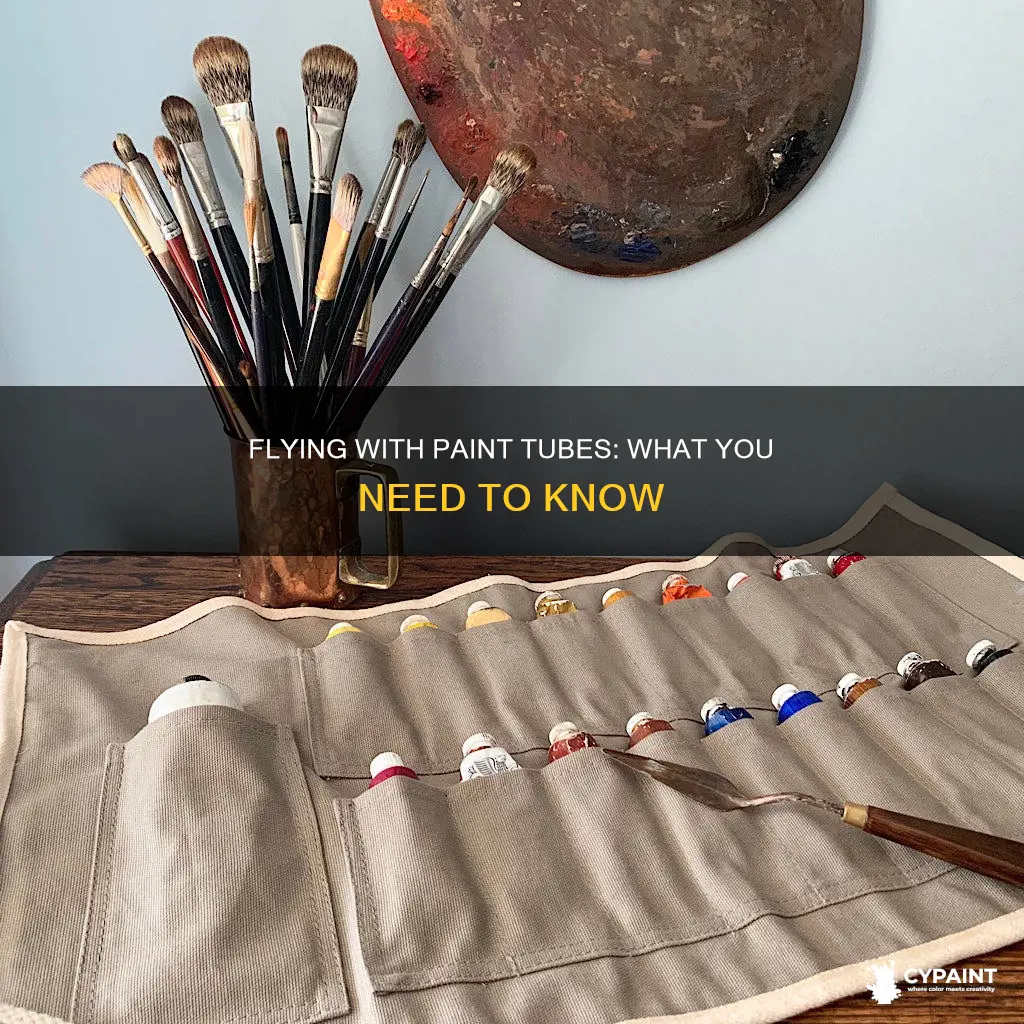 Flying With Paint Tubes: What You Need To Know | CyPaint