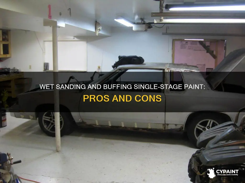 Wet Sanding And Buffing Single-Stage Paint: Pros And Cons | CyPaint