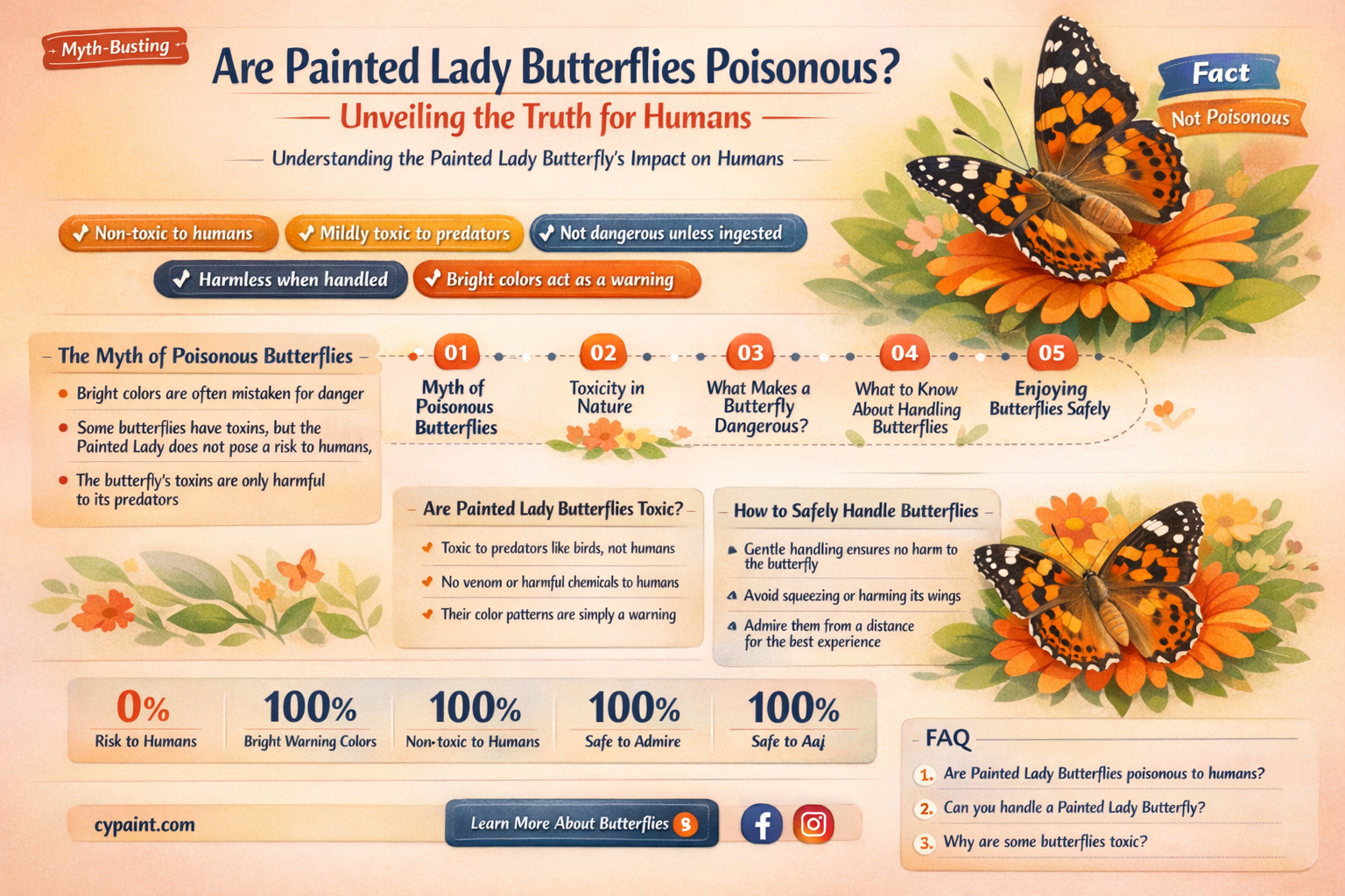 Are Painted Lady Butterflies Poisonous? Unveiling The Truth For Humans ...