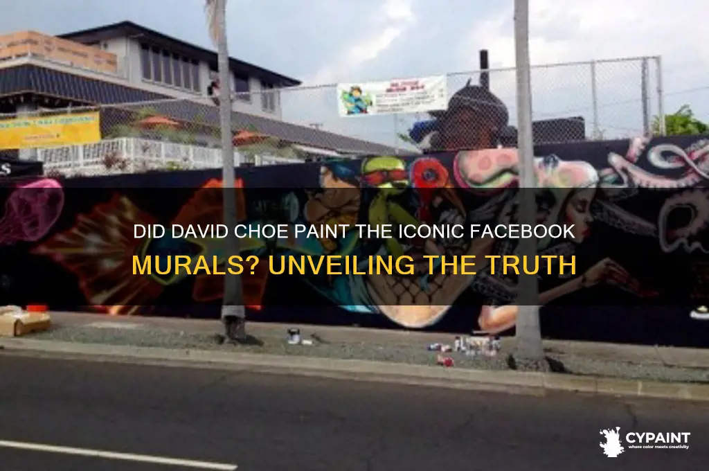 Did David Choe Paint The Iconic Facebook Murals? Unveiling The Truth ...