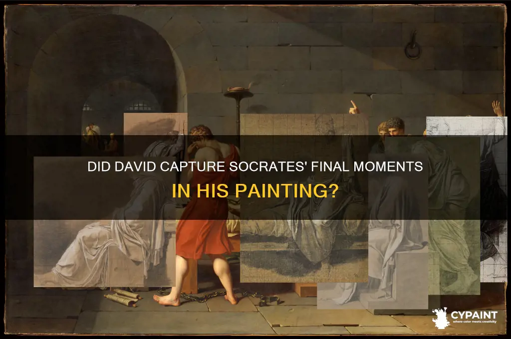 Did David Capture Socrates' Final Moments In His Painting? | CyPaint