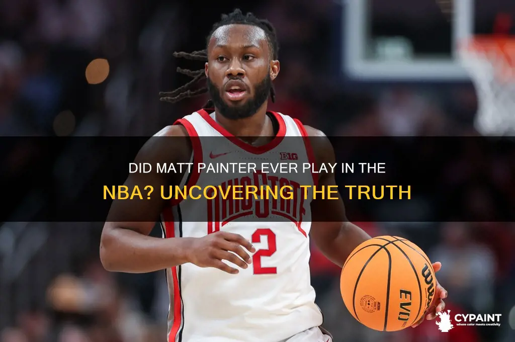 Did Matt Painter Ever Play In The Nba? Uncovering The Truth | CyPaint