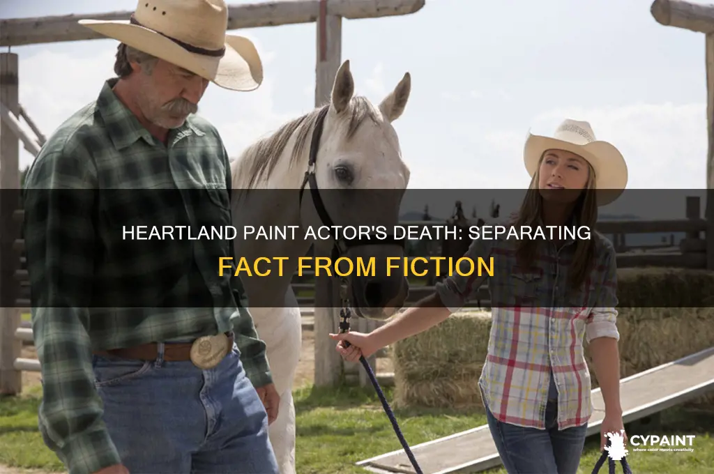 Heartland Paint Actor's Death: Separating Fact From Fiction | CyPaint