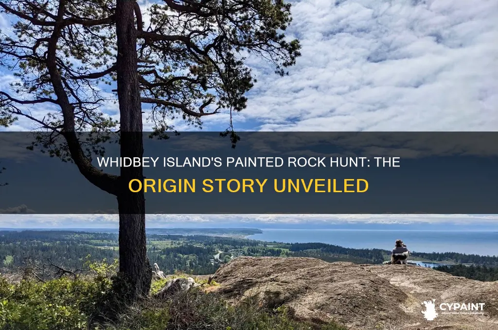 Whidbey Island's Painted Rock Hunt: The Origin Story Unveiled | CyPaint