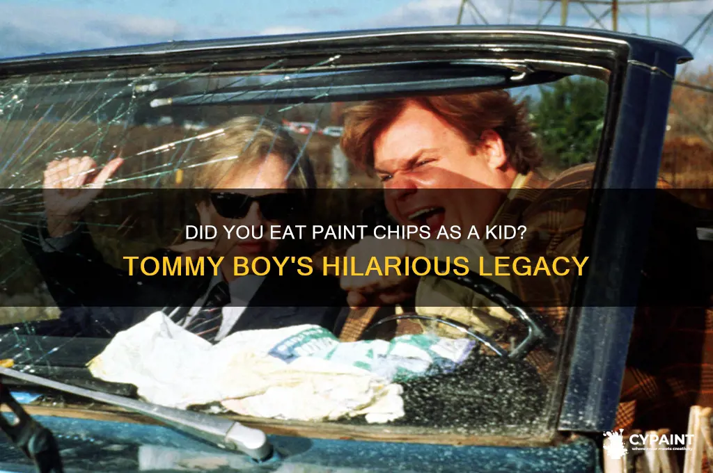 Did You Eat Paint Chips As A Kid? Tommy Boy's Hilarious Legacy | CyPaint