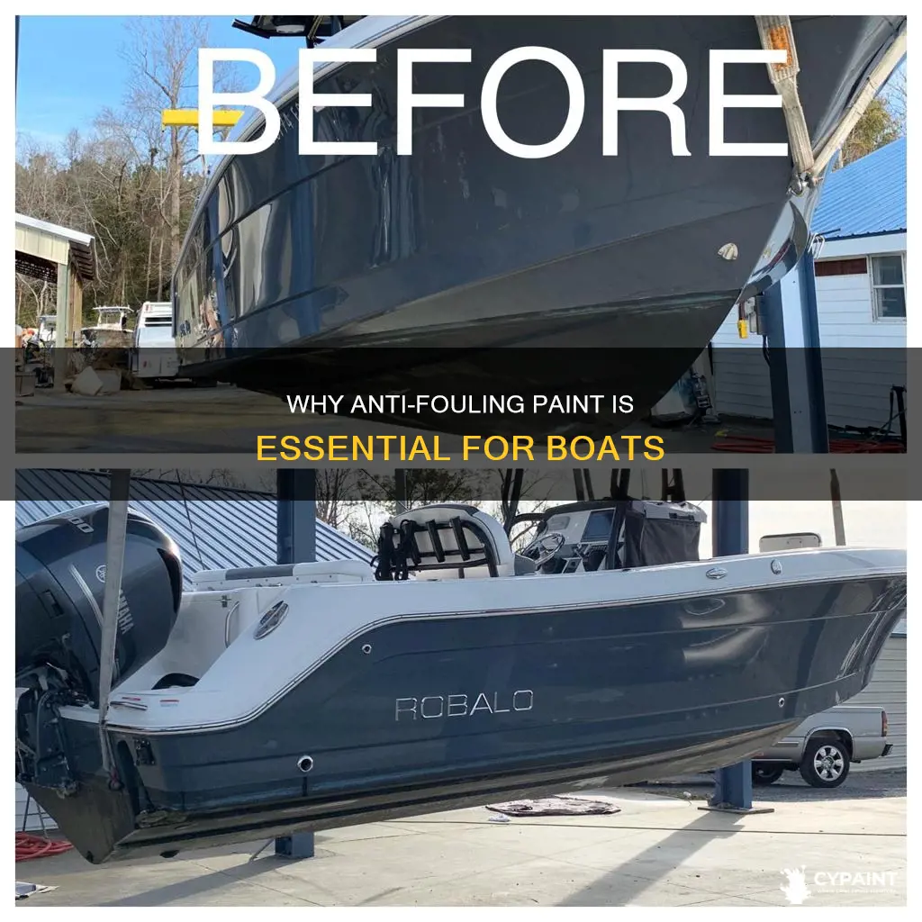 Why Anti-Fouling Paint Is Essential For Boats | CyPaint