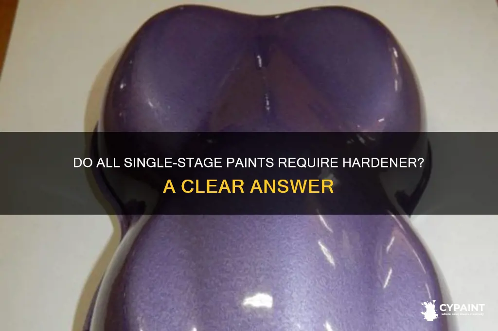 Do All Single-Stage Paints Require Hardener? A Clear Answer | CyPaint