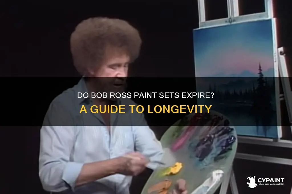 Do Bob Ross Paint Sets Expire? A Guide To Longevity | CyPaint