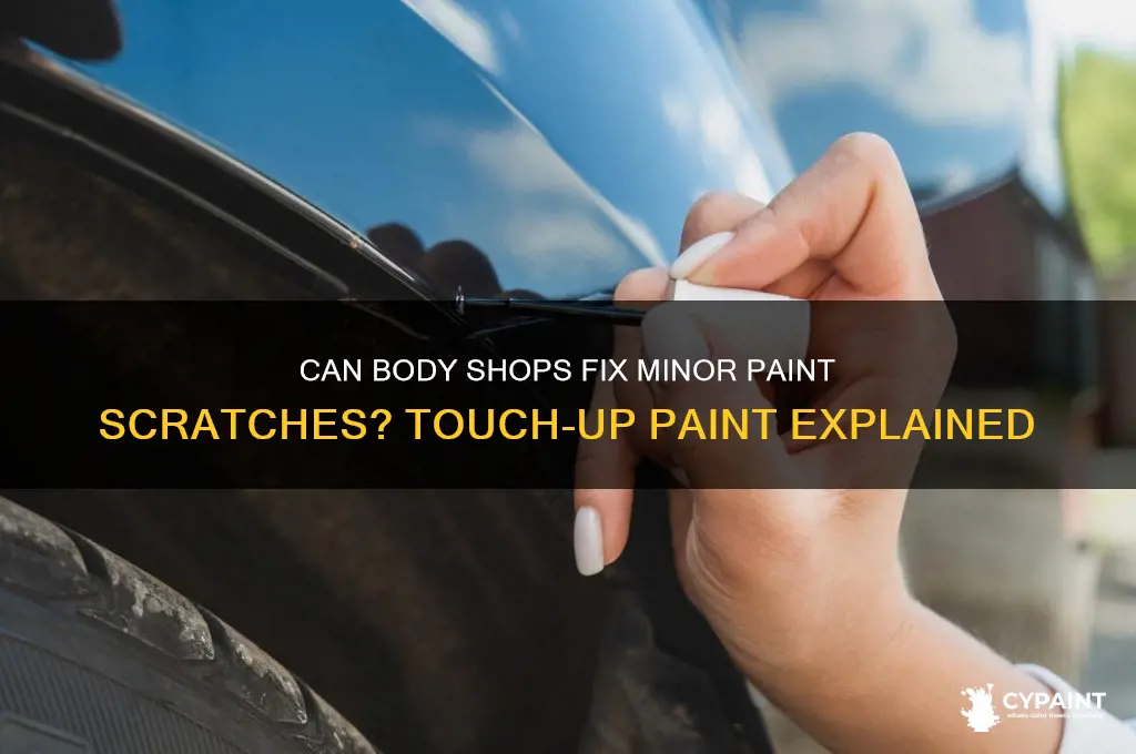 Can Body Shops Fix Minor Paint Scratches? Touch-Up Paint Explained ...