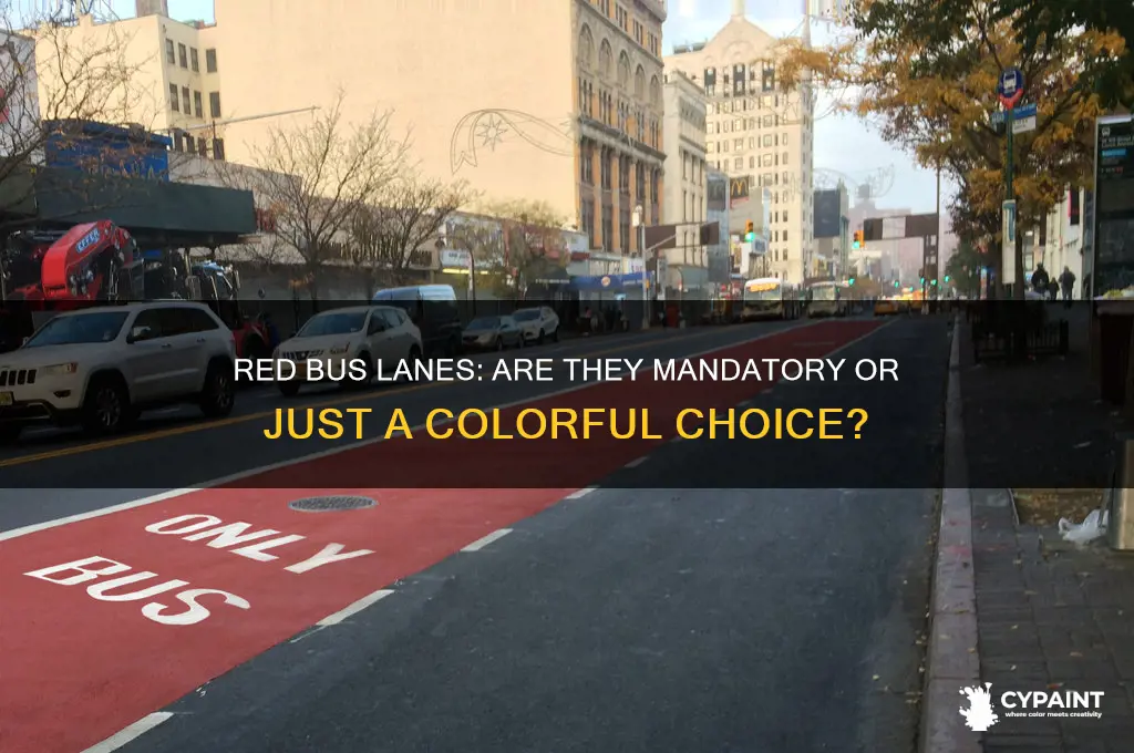Red Bus Lanes: Are They Mandatory Or Just A Colorful Choice? | CyPaint
