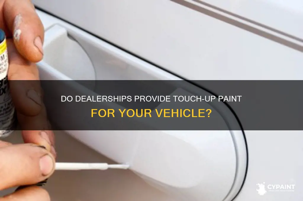 Do Dealerships Provide Touch-Up Paint For Your Vehicle? | CyPaint