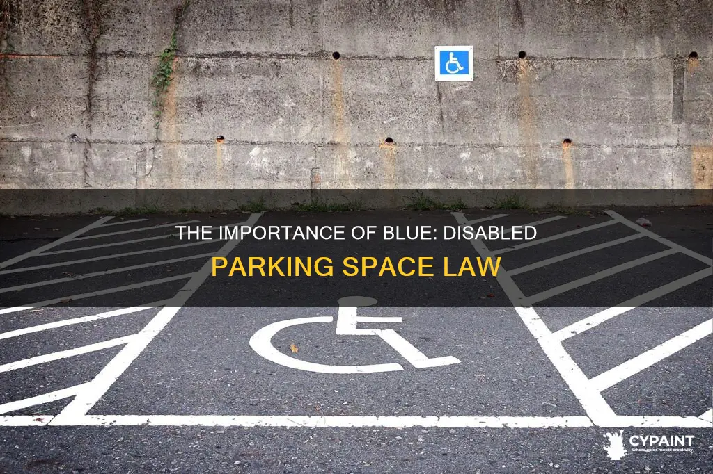 The Importance Of Blue: Disabled Parking Space Law | CyPaint