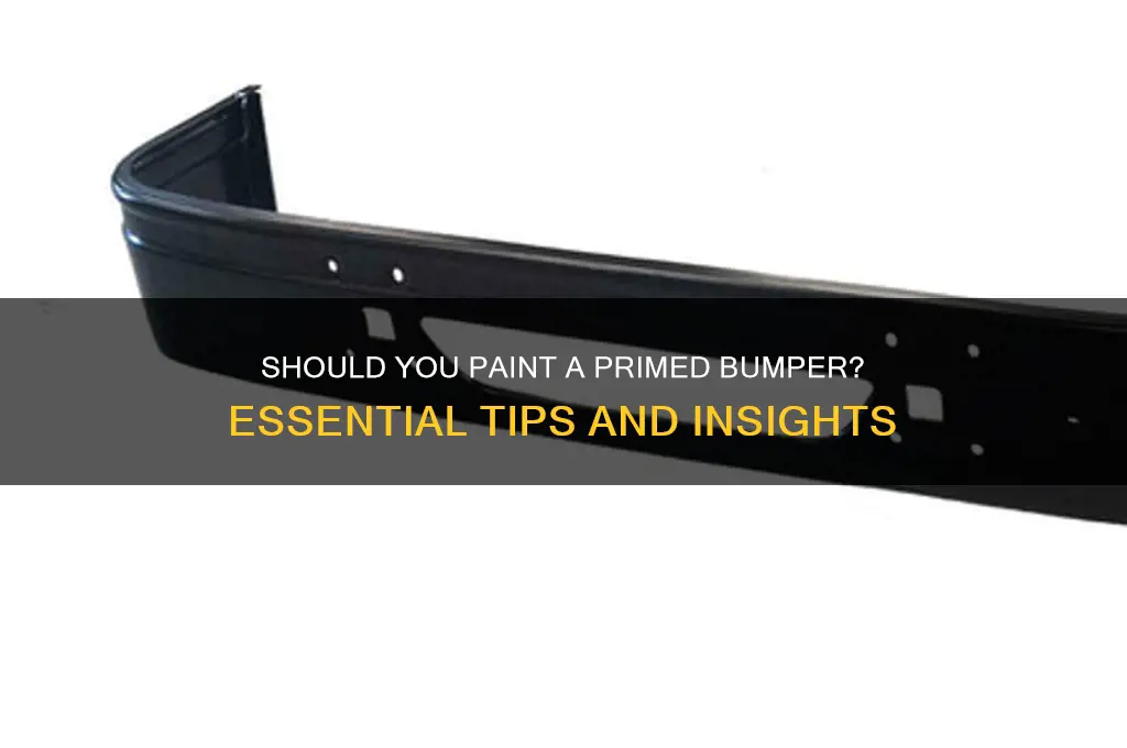 Should You Paint A Primed Bumper? Essential Tips And Insights | CyPaint