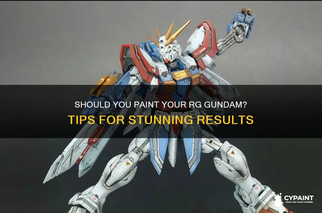 Should You Paint Your Rg Gundam? Tips For Stunning Results | CyPaint