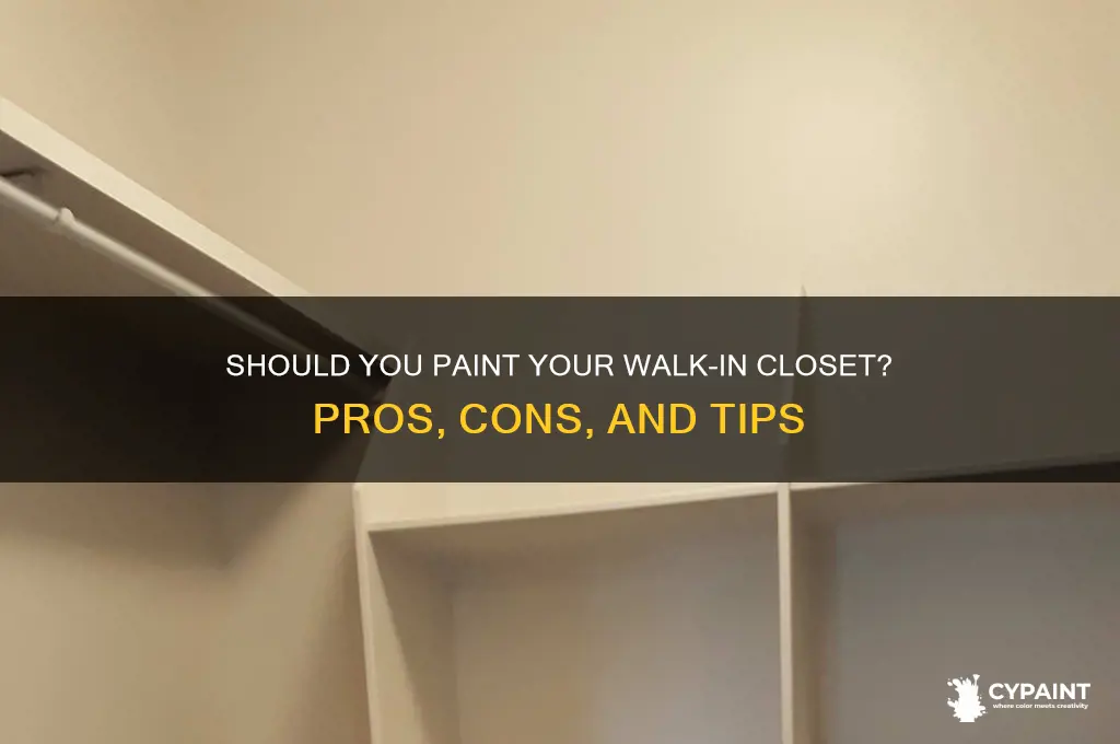 Should You Paint Your Walk-In Closet? Pros, Cons, And Tips | CyPaint