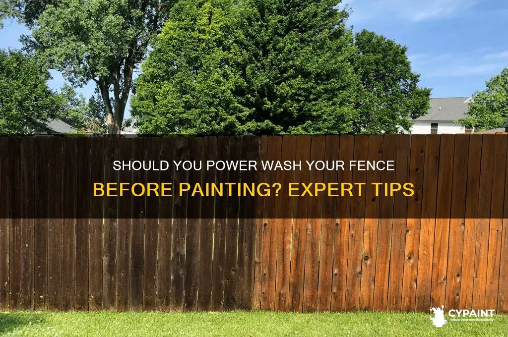 Should You Power Wash Your Fence Before Painting? Expert Tips | CyPaint