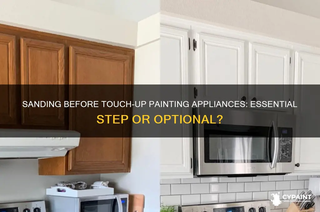 Sanding Before Touch-Up Painting Appliances: Essential Step Or Optional ...