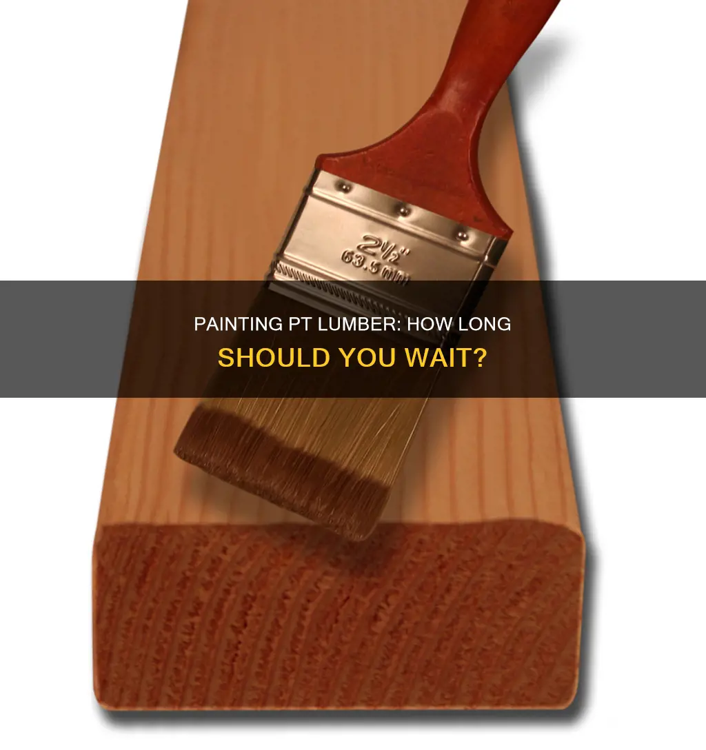 Painting Pt Lumber: How Long Should You Wait? | CyPaint