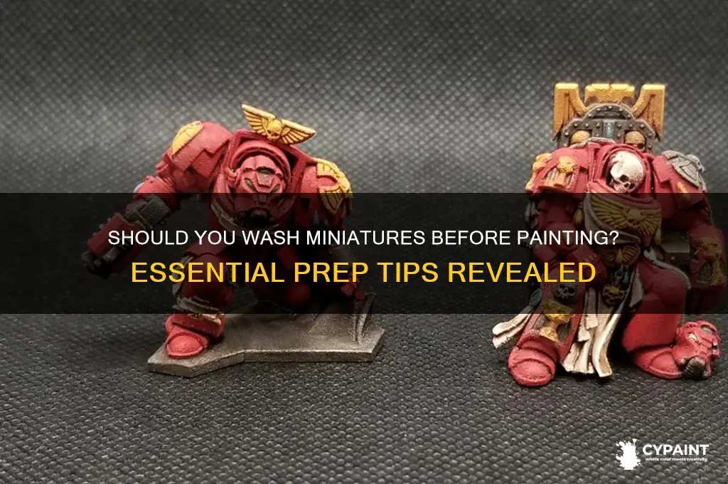 Should You Wash Miniatures Before Painting? Essential Prep Tips ...
