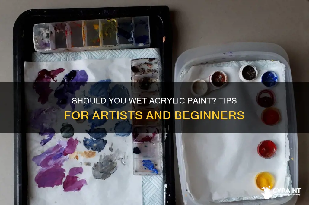 Should You Wet Acrylic Paint? Tips For Artists And Beginners | CyPaint