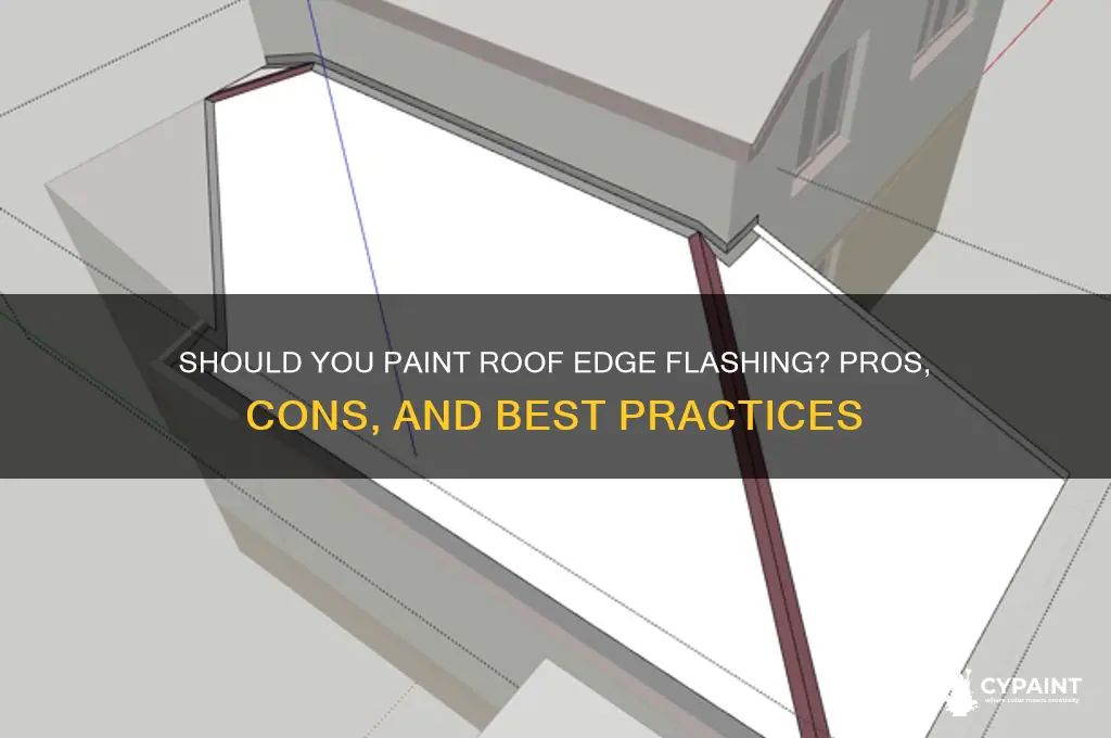 Should You Paint Roof Edge Flashing? Pros, Cons, And Best Practices ...