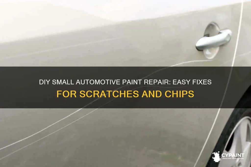 Diy Small Automotive Paint Repair: Easy Fixes For Scratches And Chips ...
