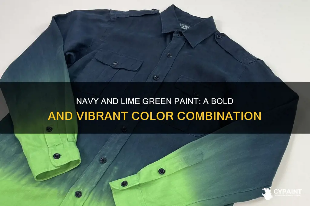 Navy And Lime Green Paint: A Bold And Vibrant Color Combination | CyPaint