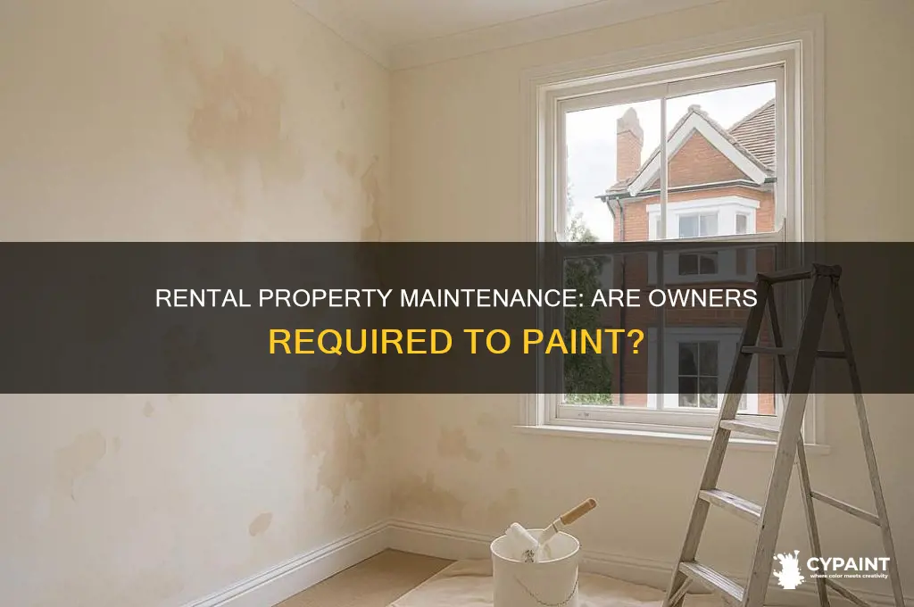 Rental Property Maintenance: Are Owners Required To Paint? | CyPaint